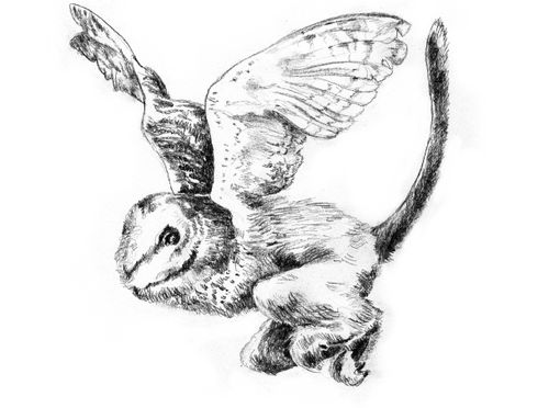 Nine dimensions — learning